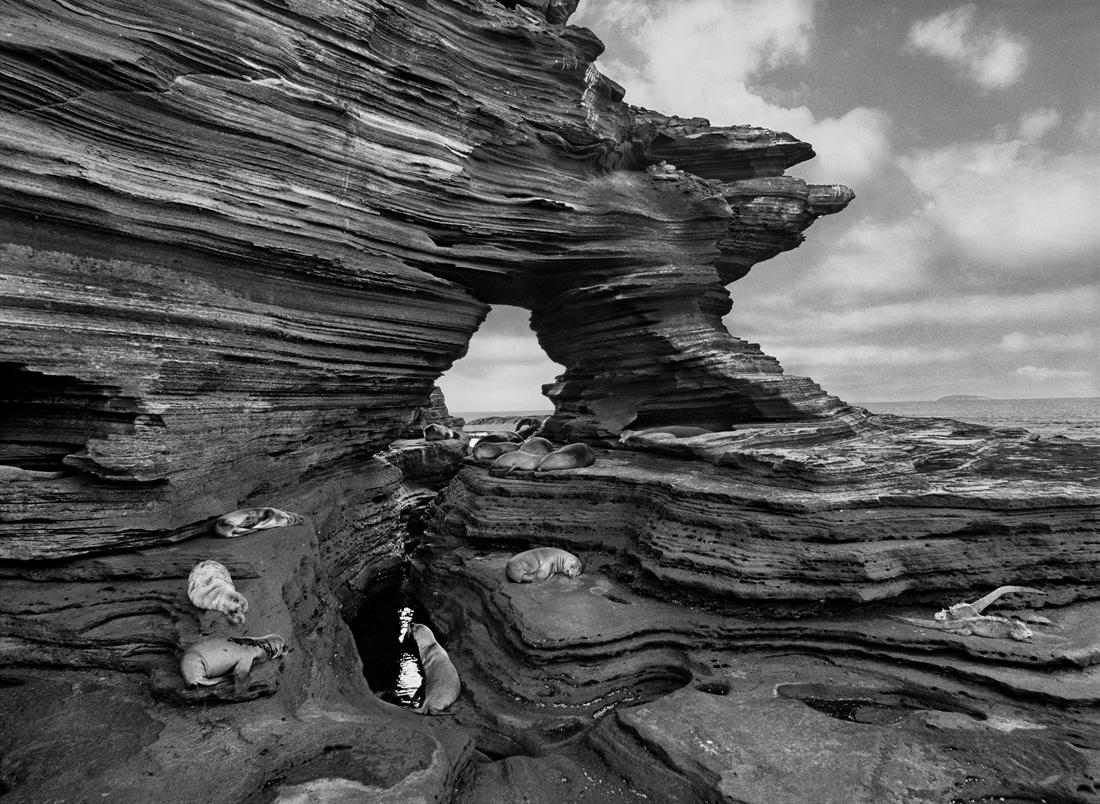 Sebastião Salgado – Galeria Mario Cohen